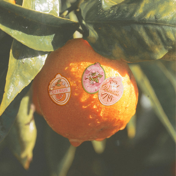 Dream Veil Hair + Body Fragrance Mist – dae